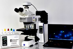 SPERM HYLITER™ Microscope LCM - Independent Forensics of IL